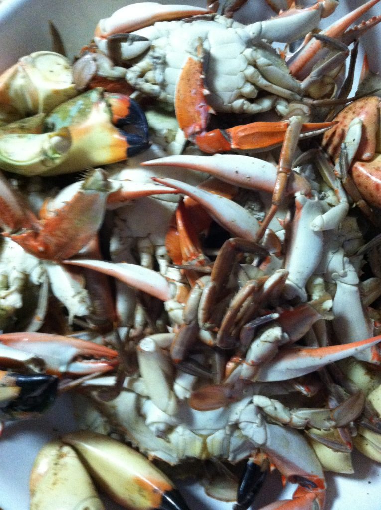 work is a 4 letter word | UpYourTelesales