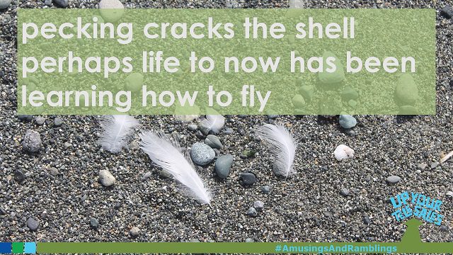 Learning to Fly Haiku | UpYourTelesales